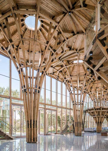 Emerging Beijing Architect Luo Yujie Talks Sustainability and the State ...