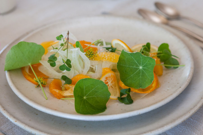 How SHED Dinnerware Brings Strength and Beauty to the Table