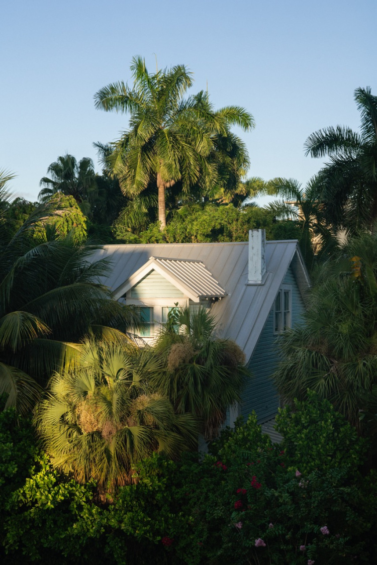 Our Favorites from Alcova Miami