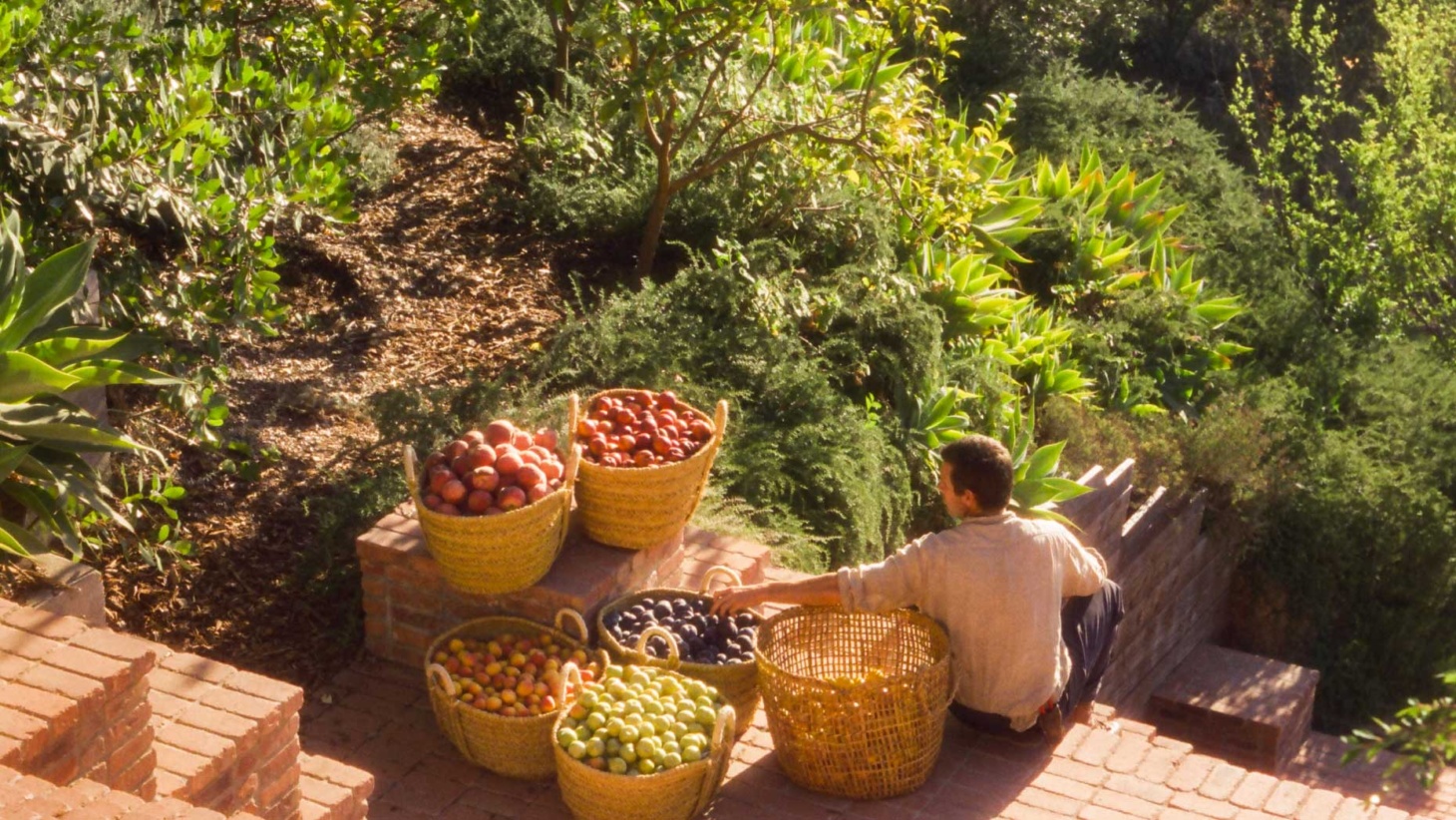Flamingo Estate: Crafting Paradise in Los Angeles