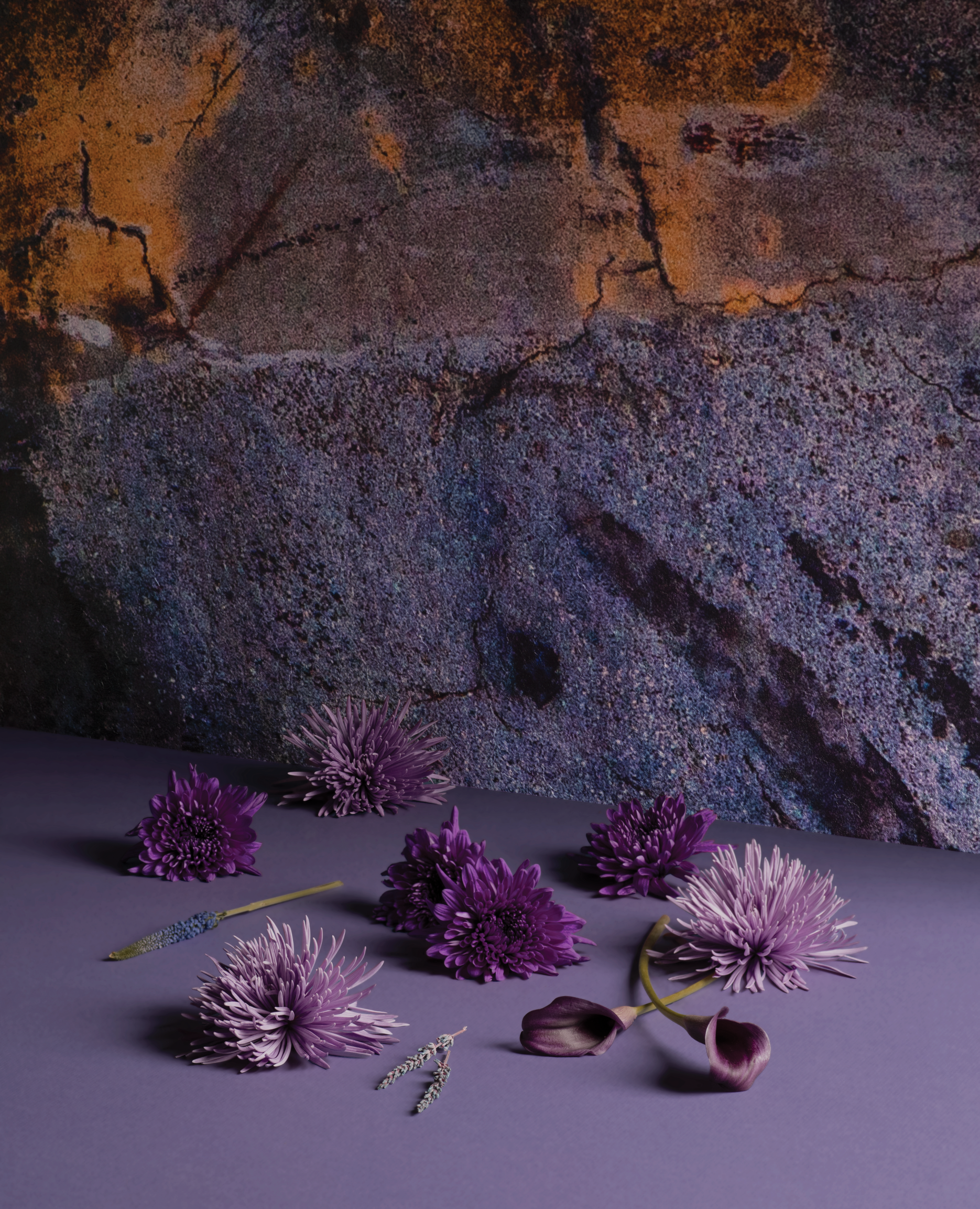 Astek Reconnects Art, Nature, and Technology
