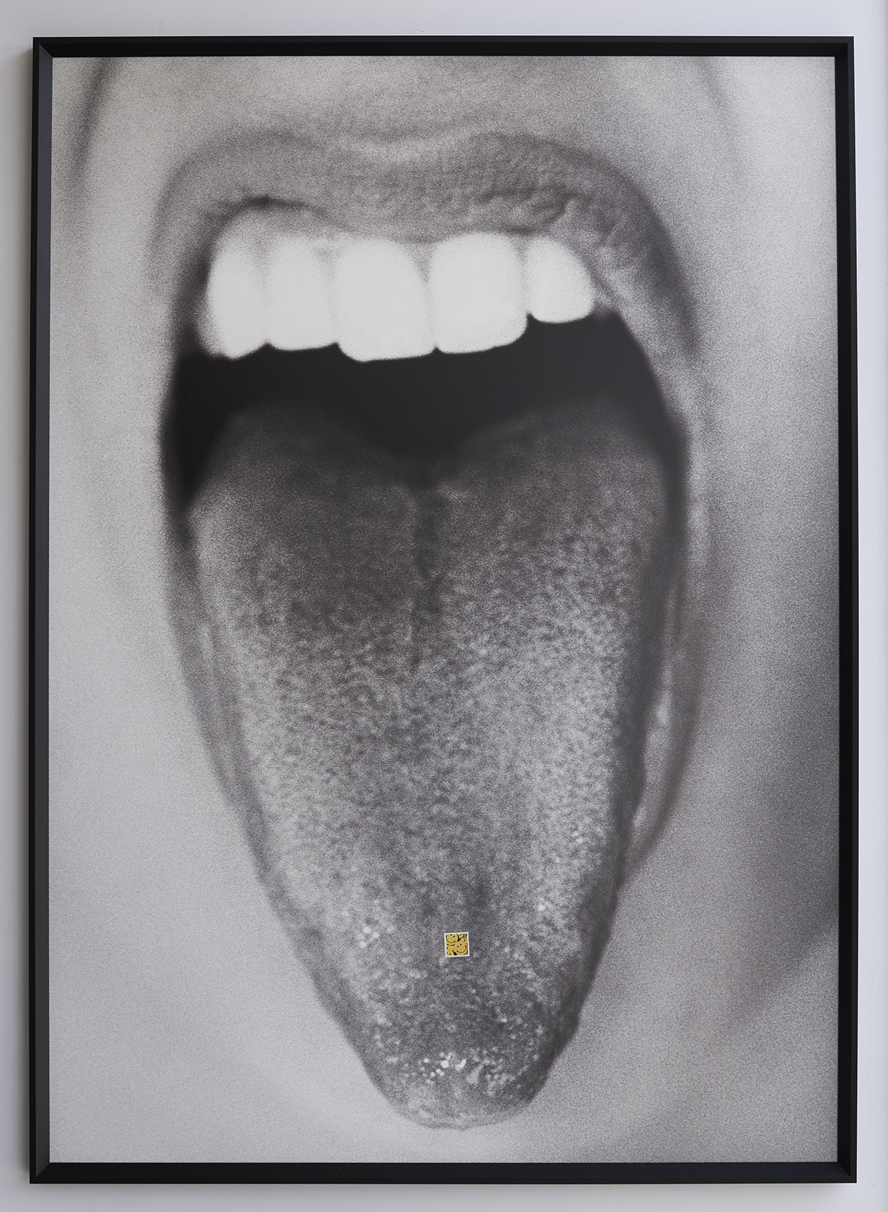 Brandon Boyd and Brian Bowen Smith Talk Music and Art