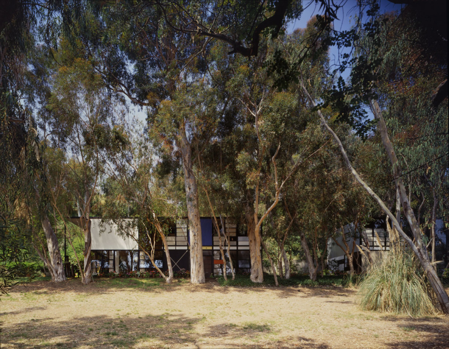 Eames LTR Table Made from Trees from the Eames Property