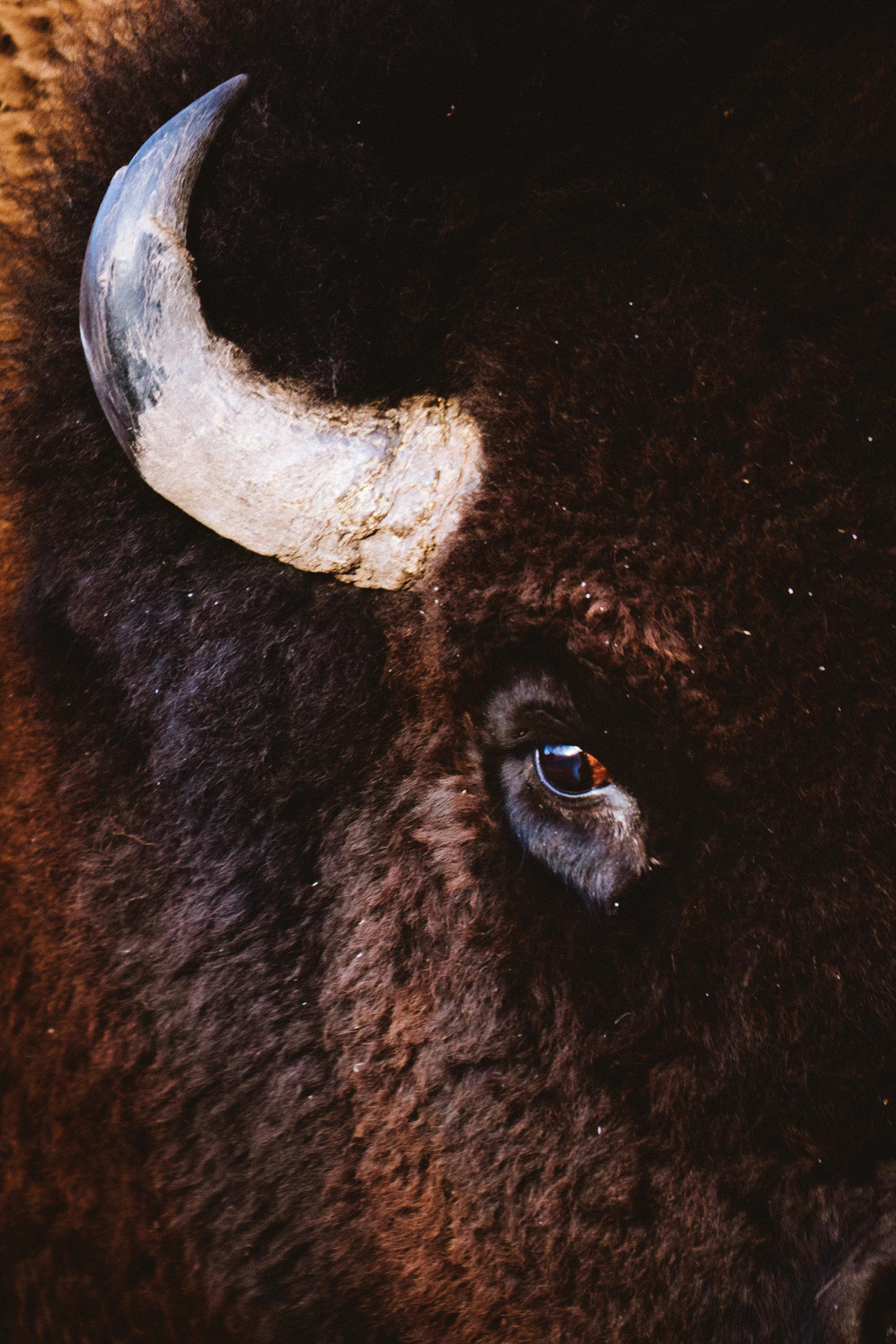 Alex Strohl on Capturing Quiet Moments of Adventure - Sixtysix Magazine
