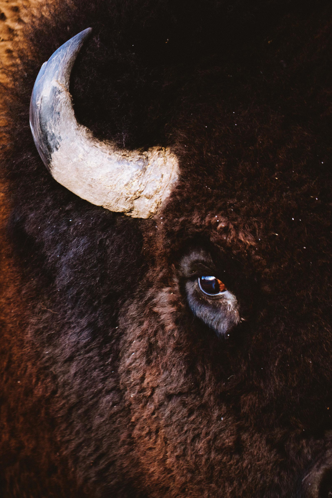 Alex Strohl on Capturing Quiet Moments of Adventure - Sixtysix Magazine