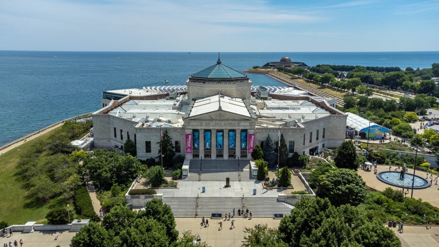 Aquarium Architecture: Diving into the Depths of Design