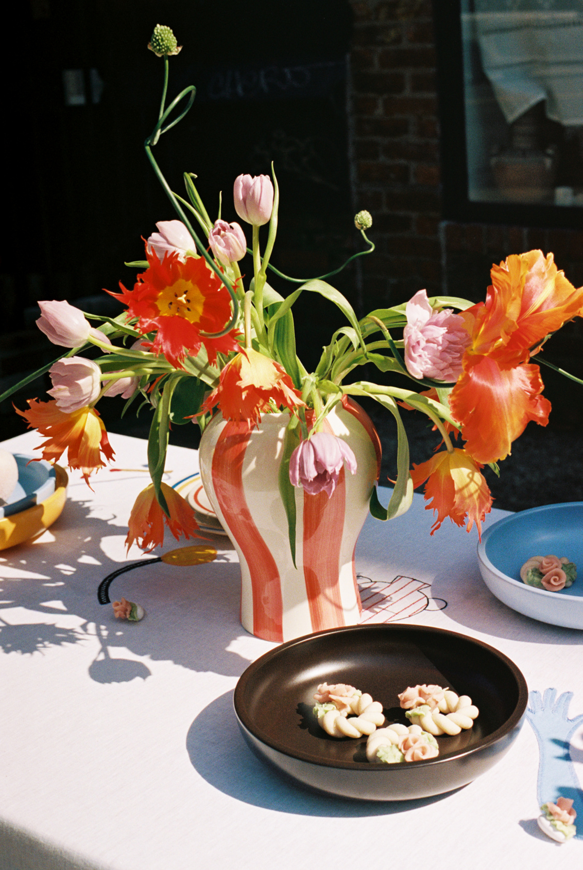 Laila Gohar is a Creative Anomaly - Sixtysix