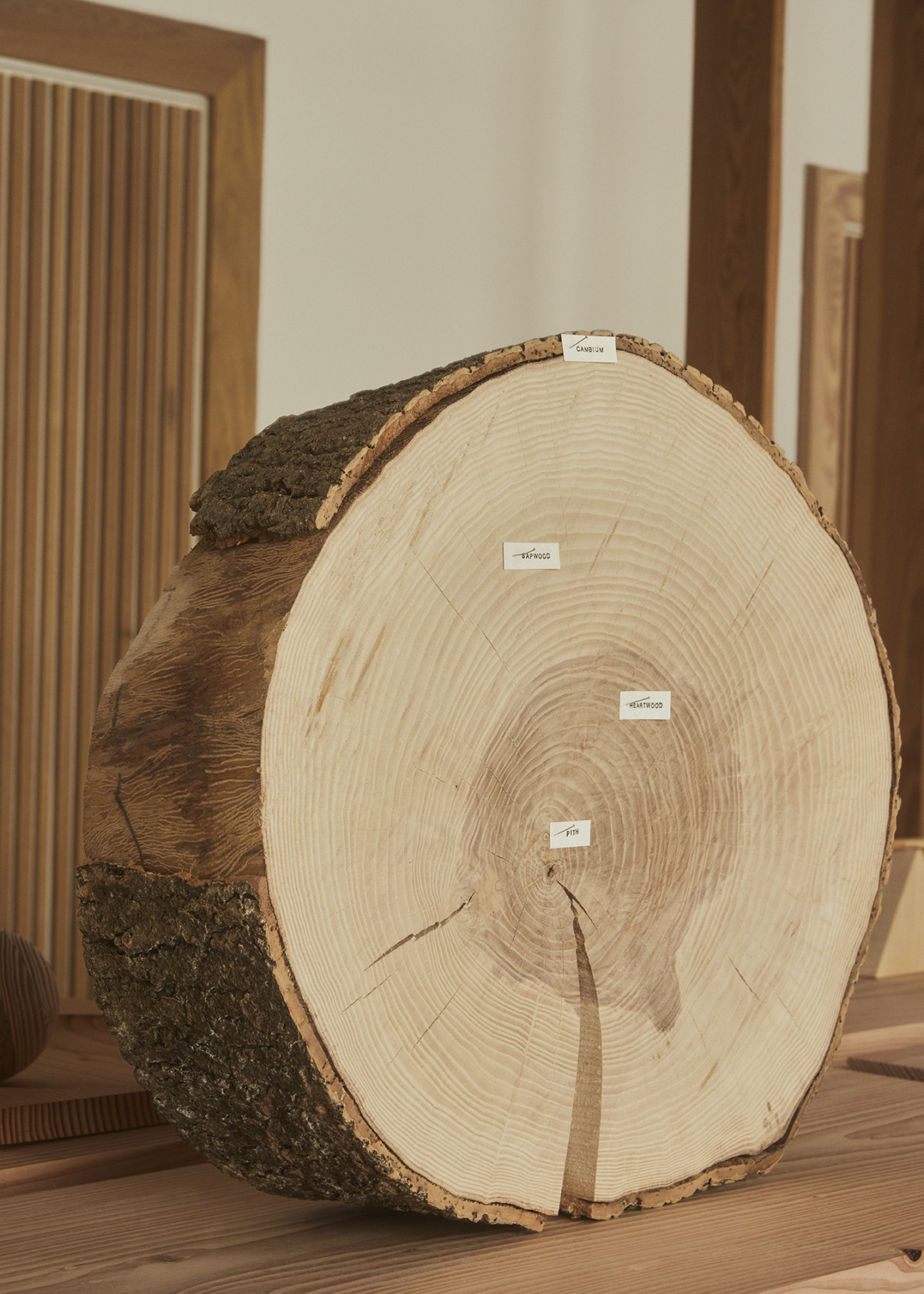 Christian and Jade Show Wood is More than a Commodity
