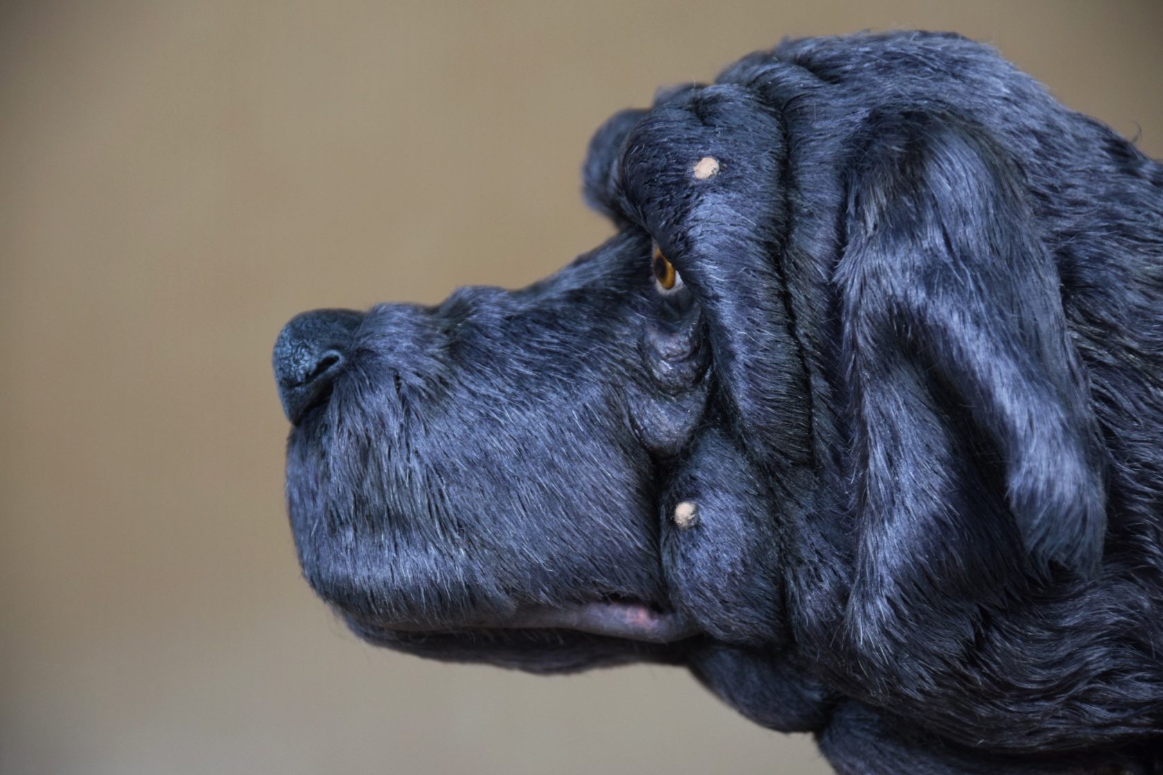 Andy Gent on How He Became Wes Anderson's Right-Hand Man