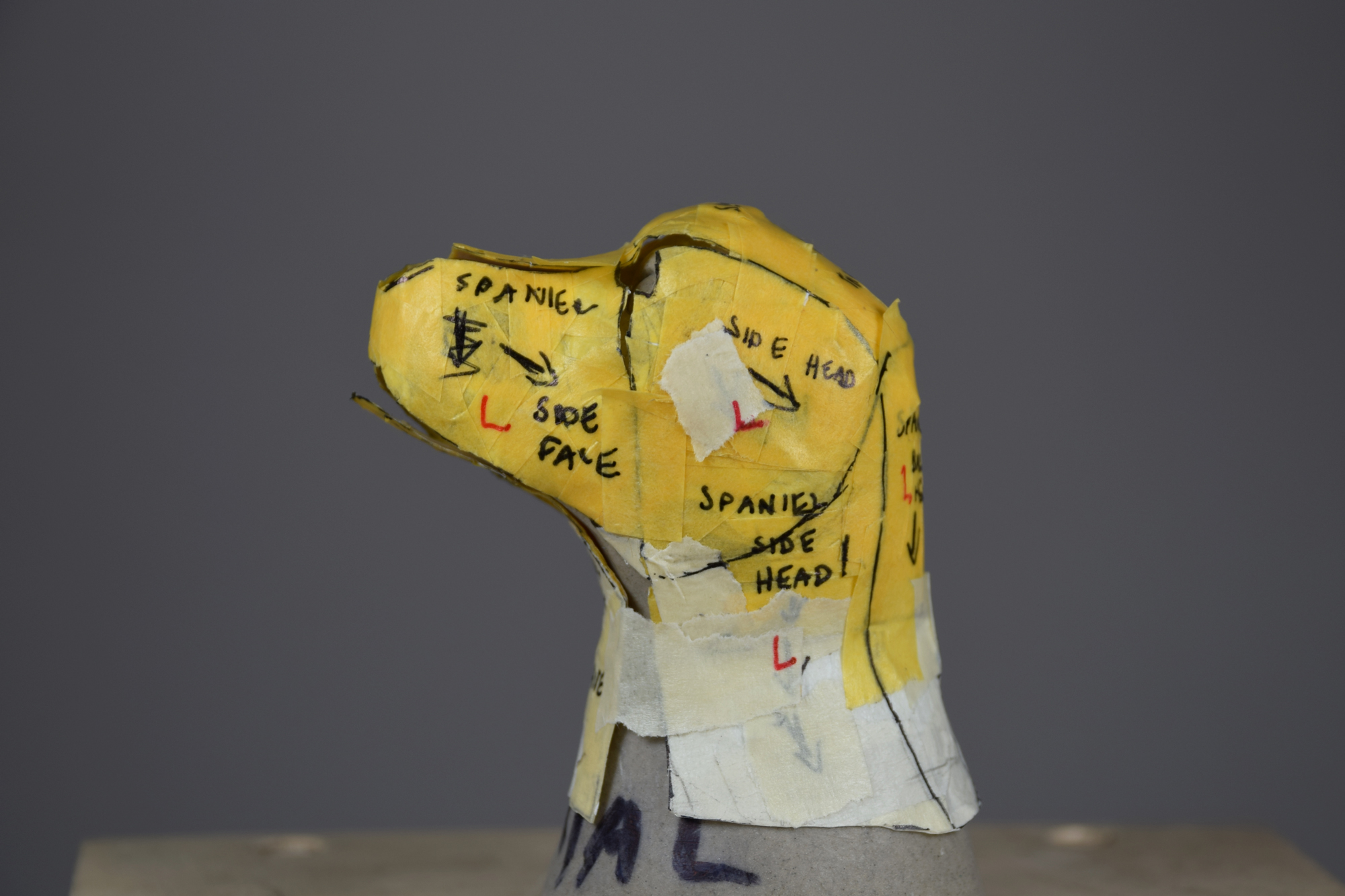 Andy Gent on How He Became Wes Anderson's Right-Hand Man