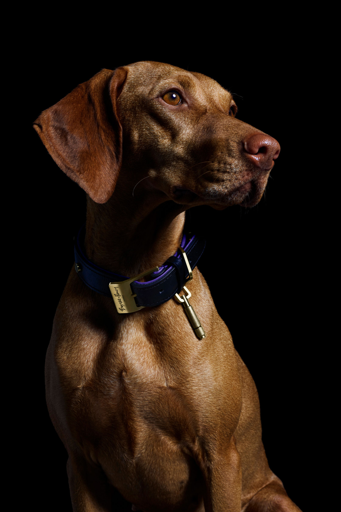 New Buster + Punch Dog Collar Unleashes the Brand into Pet Accessories