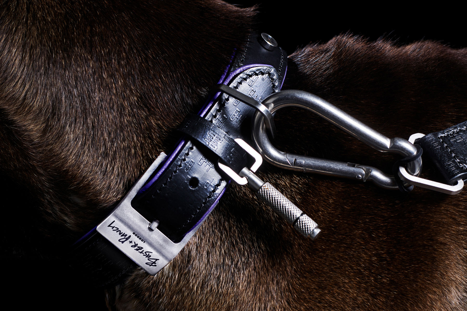 New Buster + Punch Dog Collar Unleashes the Brand into Pet Accessories
