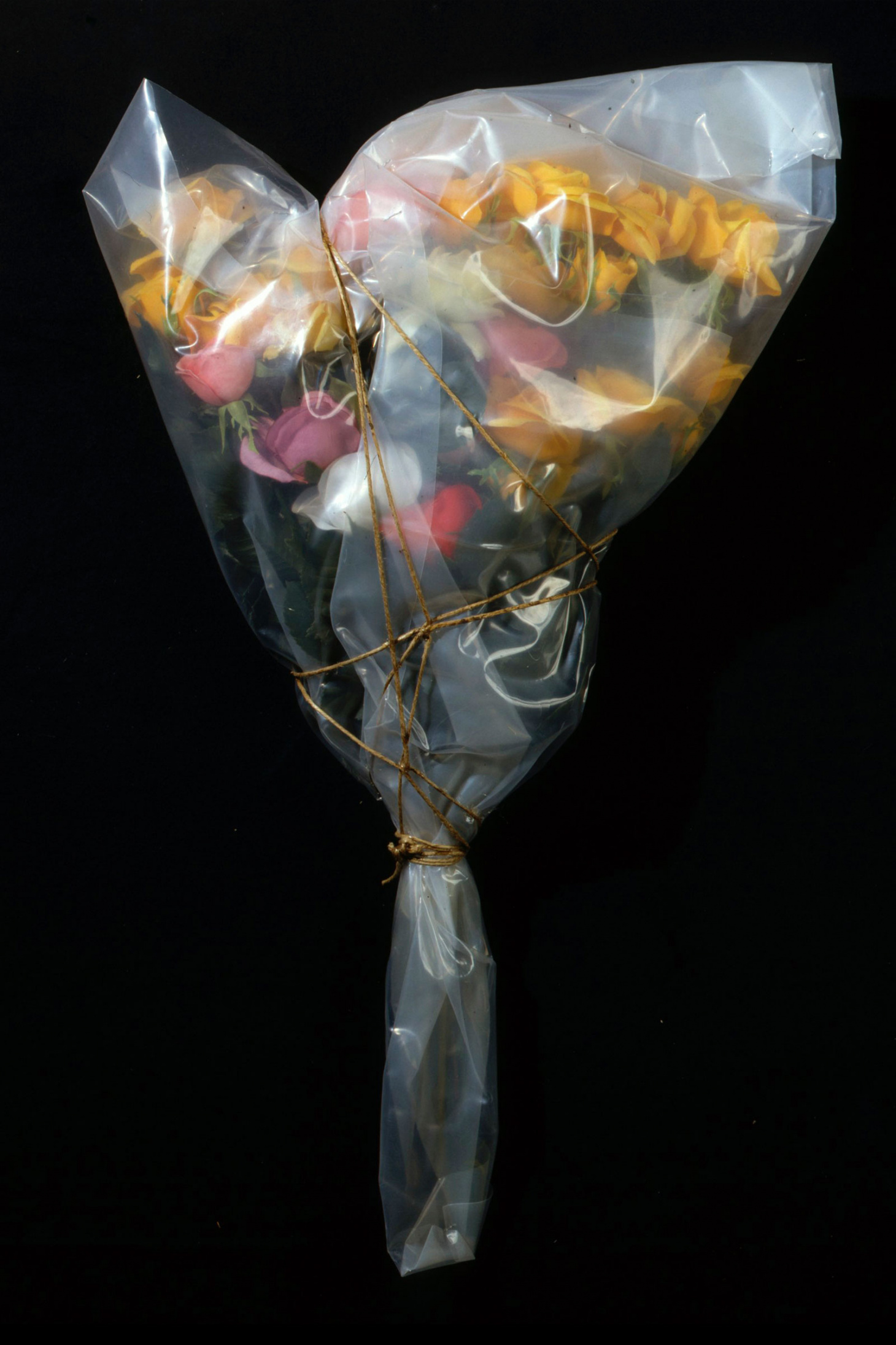 Unveiling Unseen Christo Work