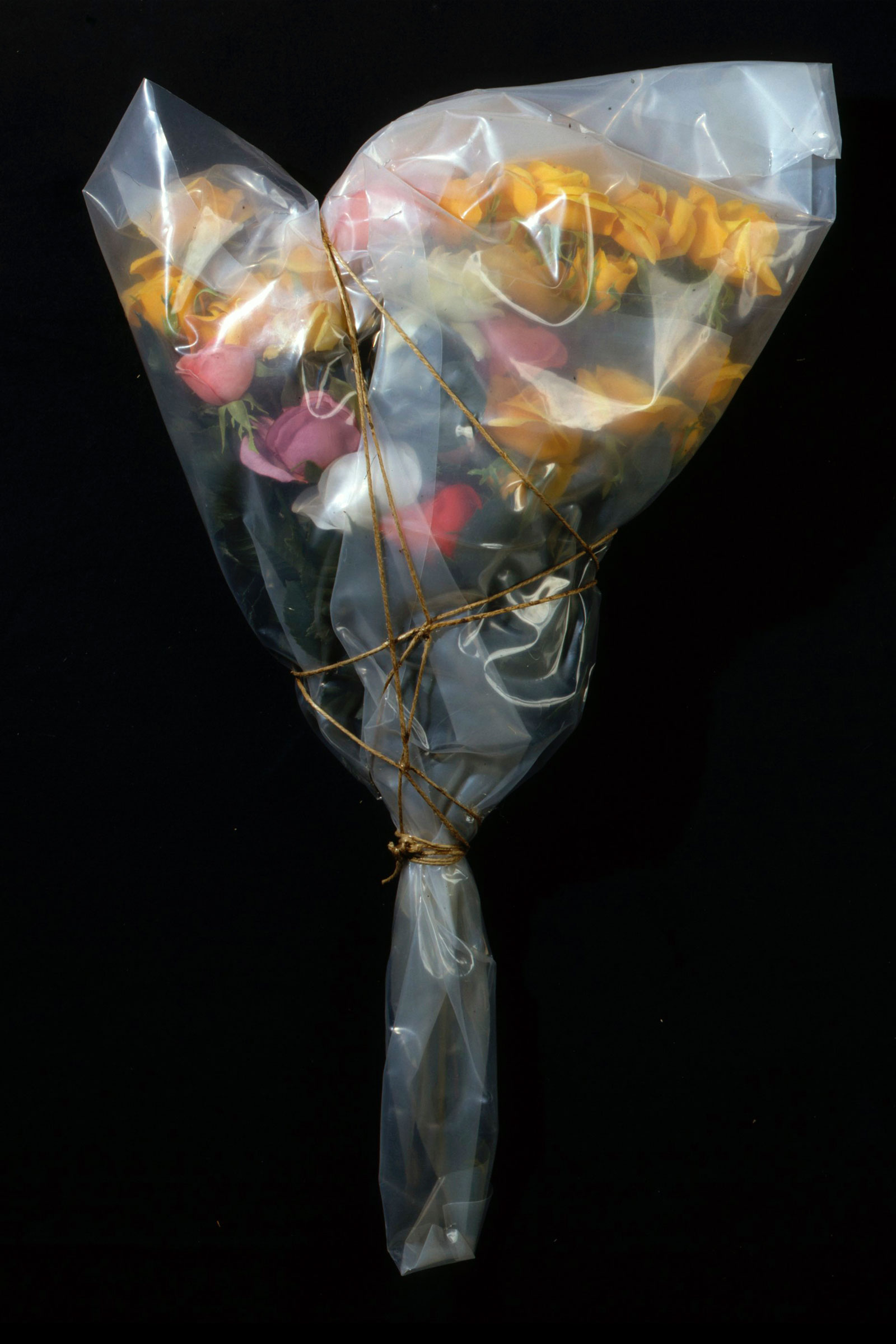 Unveiling Unseen Christo Work