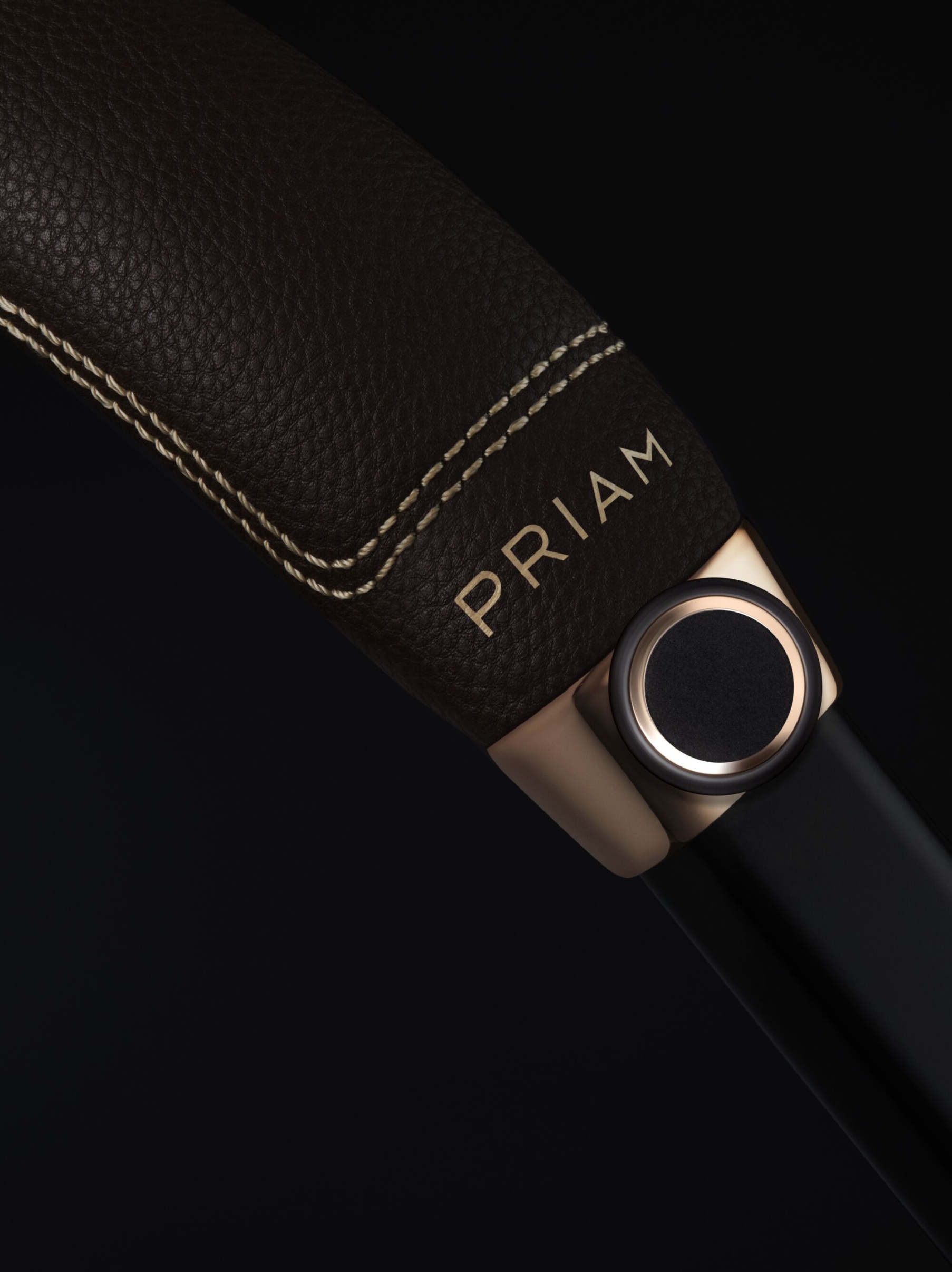 This CYBEX Stroller Makes Baby Care Artful