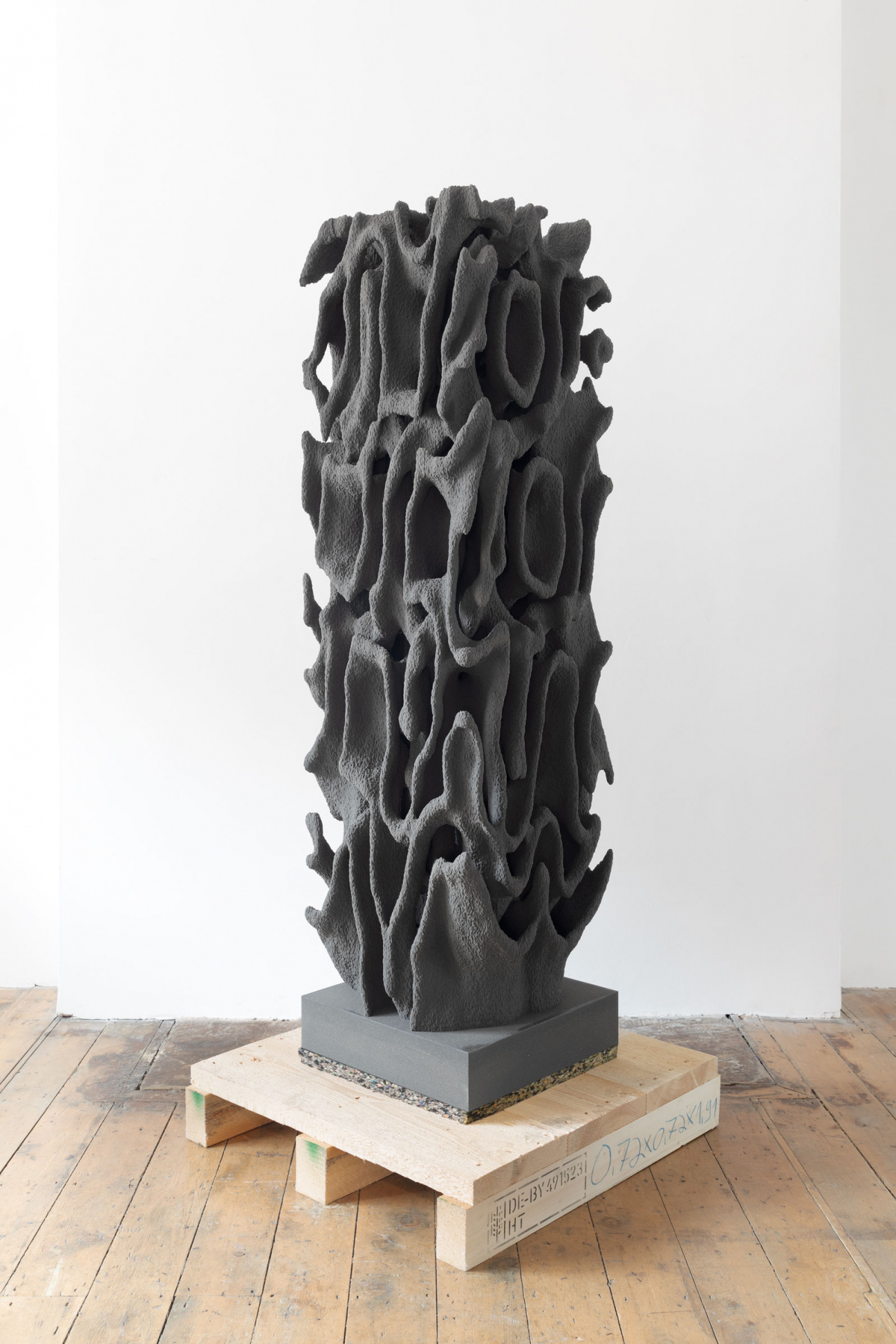 Daniel Widrig Uses 3D Printing to Make Unexpected Art