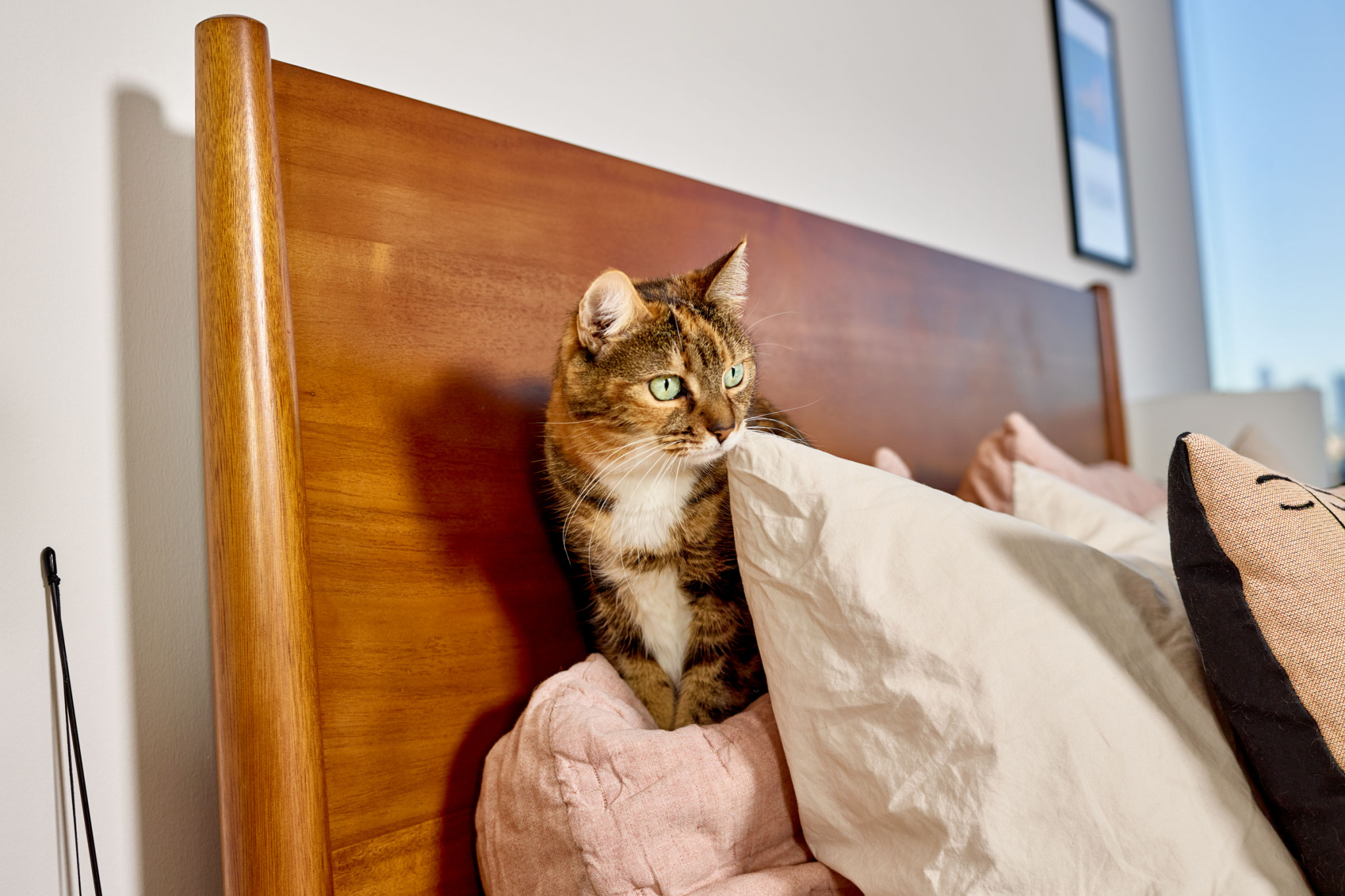 At Home with 'SNL' Comedy Maven Heidi Gardner - Sixtysix Magazine