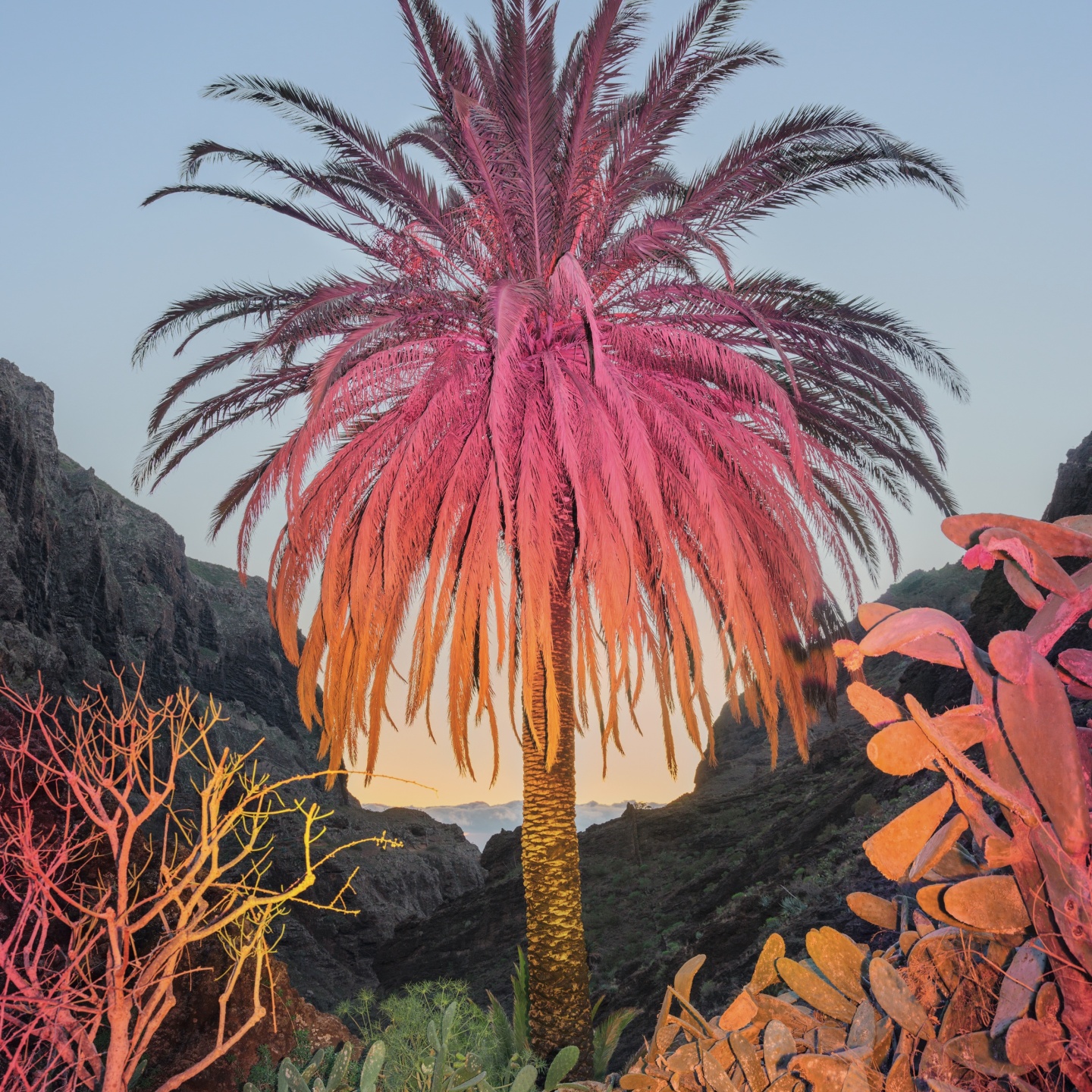 Inka and Niclas Create Surreal Scenes in Nature