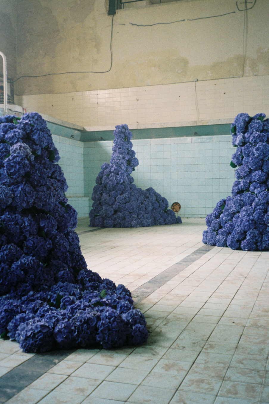 Studiolilo Transforms Flowers to Sculptural Works - Sixtysix