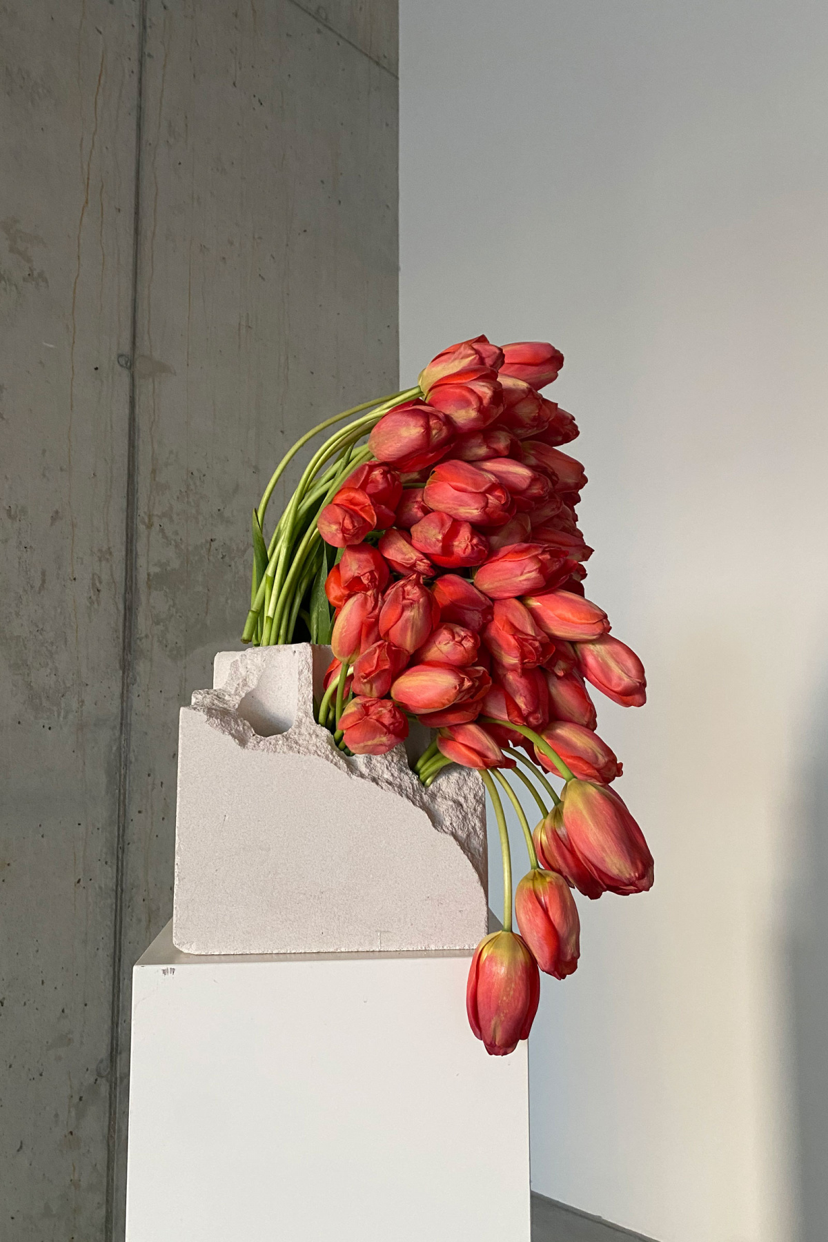 Studiolilo Transforms Flowers to Sculptural Works - Sixtysix